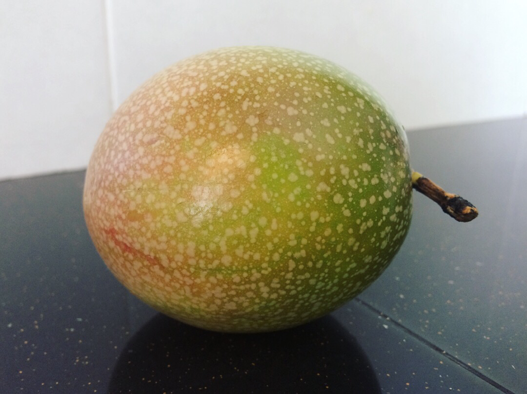 p333_orig – The Travel Binder